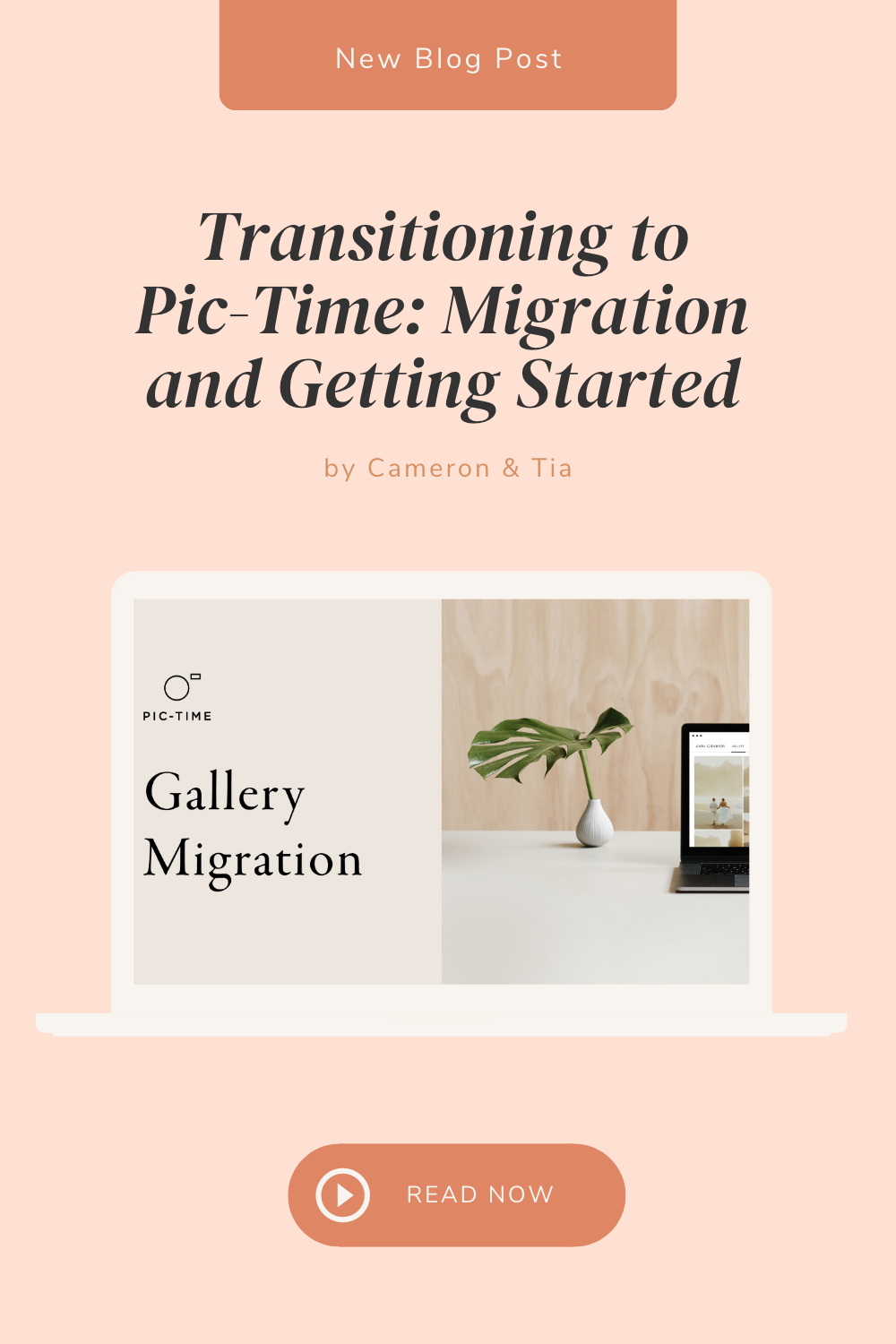 Transitioning to Pic-Time: Migration and Getting Started | Cameron & Tia